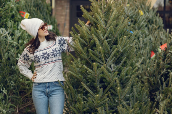 Giving Your Christmas Tree a Second Life: A Guide to Eco-Friendly ...